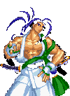 Sogetsu Kazama (Samurai Shodown)